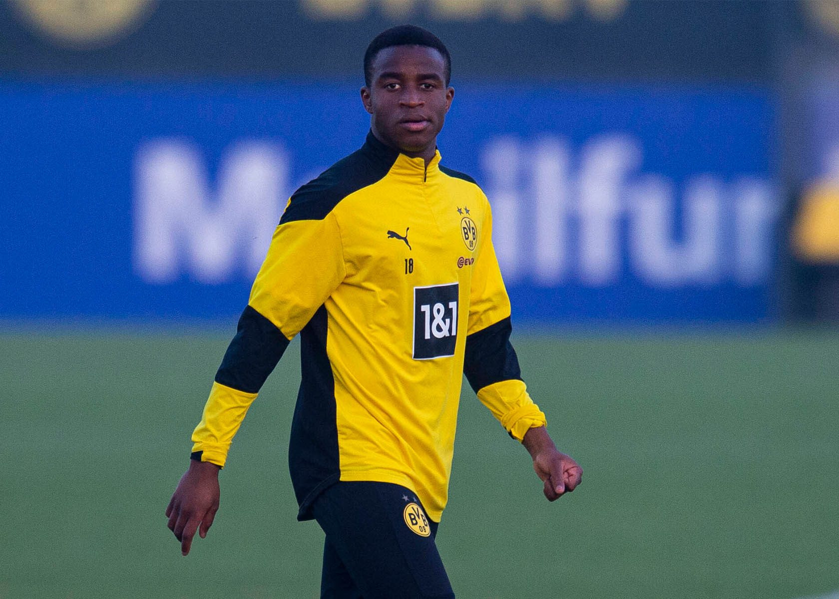 Moukoko Debüt: Trifft er gegen Hertha? So stehen die Wettquoten