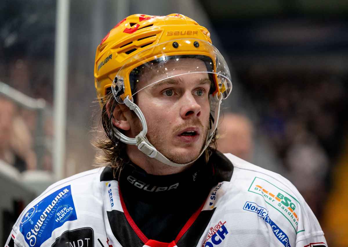 Pinguins Bremerhaven vs. Adler Mannheim Tipp, Prognose, Quoten