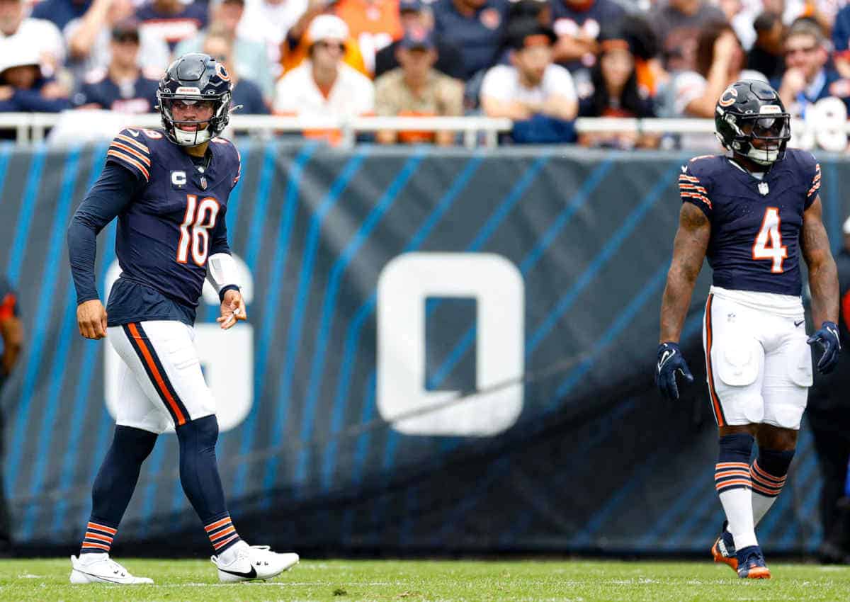 Bears vs. Panthers Tipp, Prognose & Quoten 06.10.24 - Wettbasis